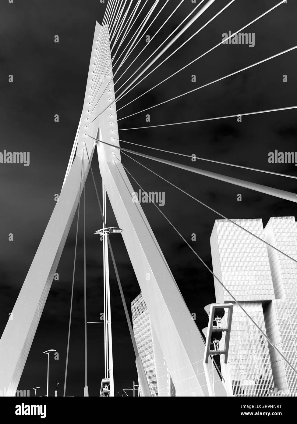 Named after the great renaissance Dutch philosopher and humanist ...