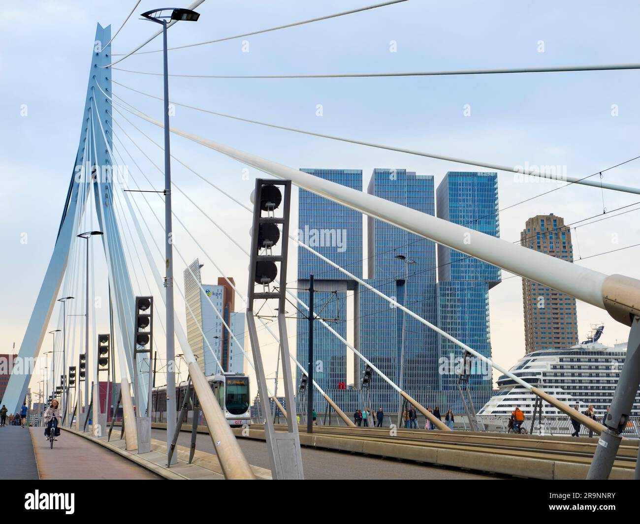 Named after the great renaissance Dutch philosopher and humanist ...