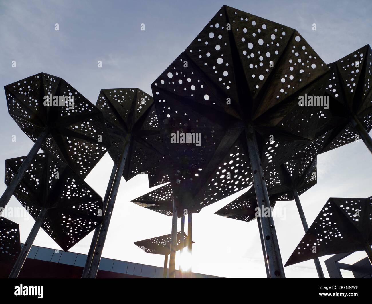 You can see abstract pattern and beauty just about anywhere, providing ...