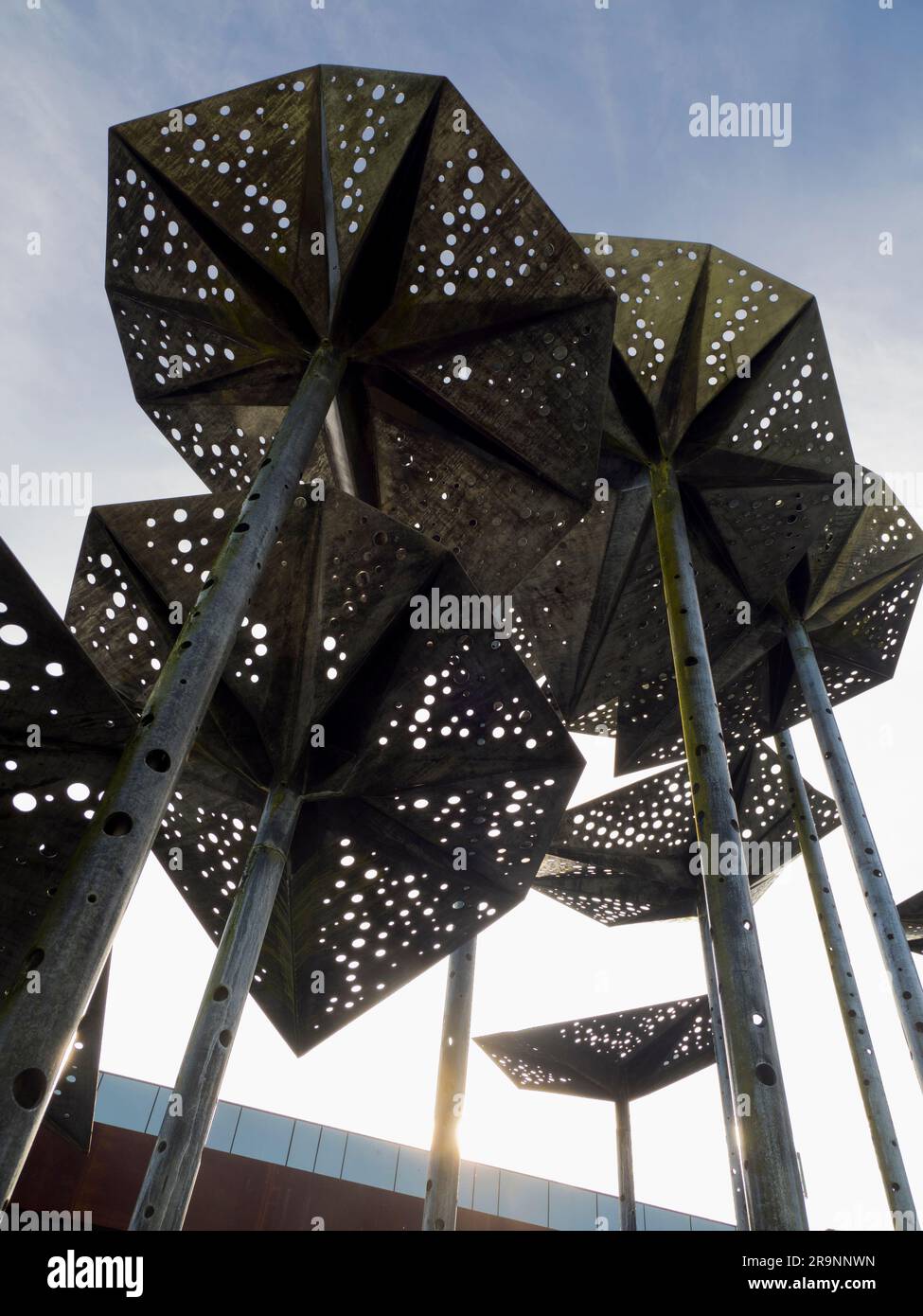 You can see abstract pattern and beauty just about anywhere, providing ...