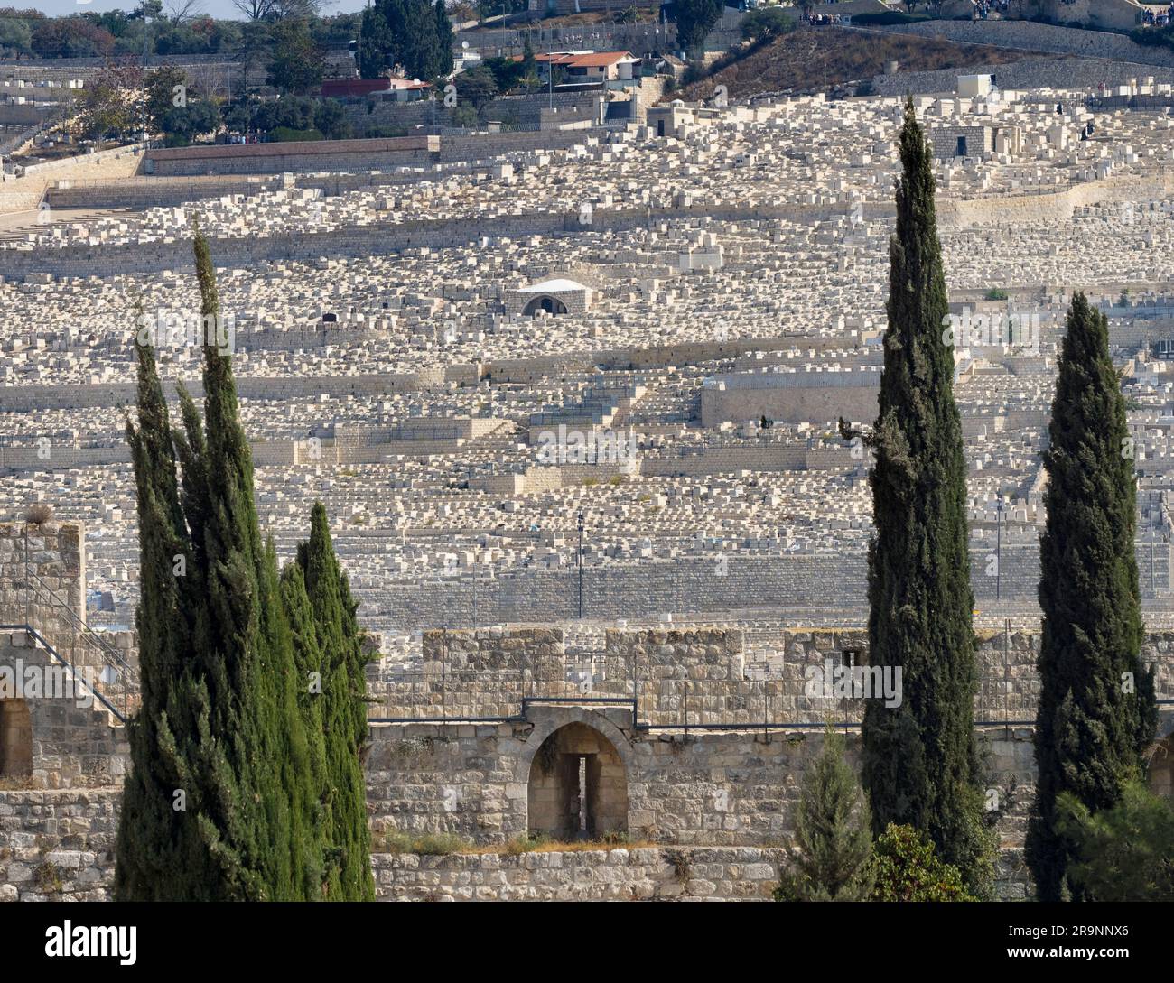 With over 5000 years of turbulent history behind it, Yerushalayim ...
