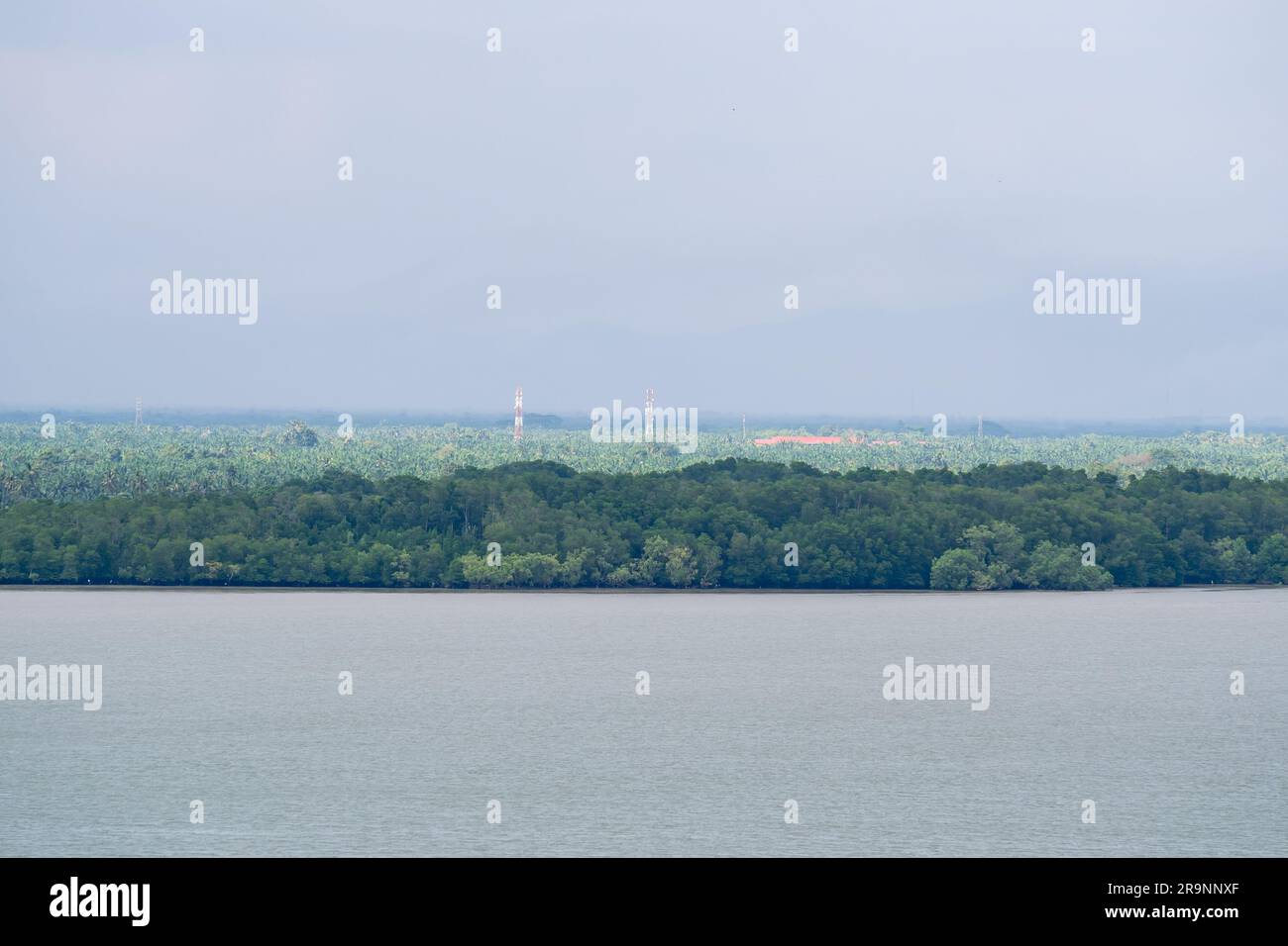 Aerial view of the coastline of mangrove forest and river landscape ...