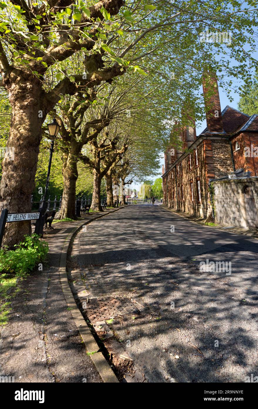 Saint Helen's Wharf is a noted beauty spot on the River Thames, just ...