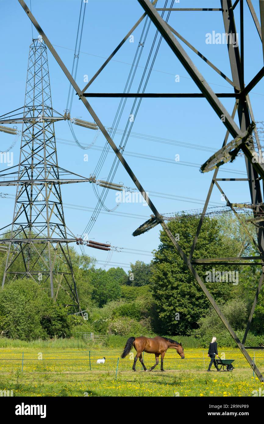 I love electricity pylons; I find their abstract, gaunt shapes ...