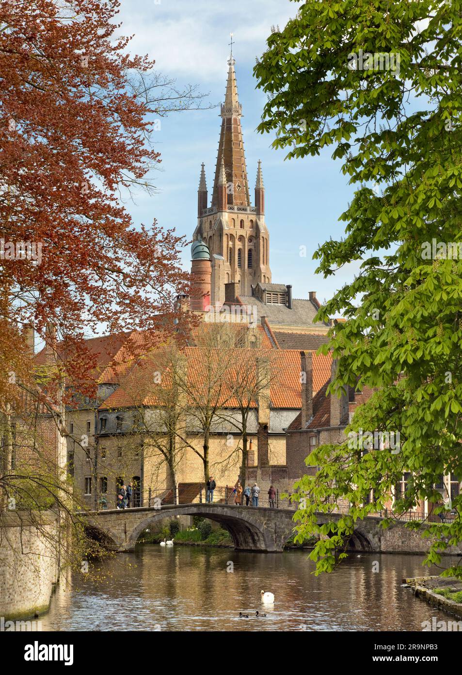 With its spire of 116m, the Catholic Church of our Lady, Bruges ...
