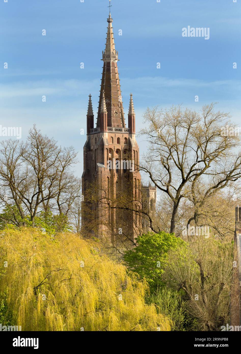 With its spire of 116m, the Catholic Church of our Lady, Bruges ...