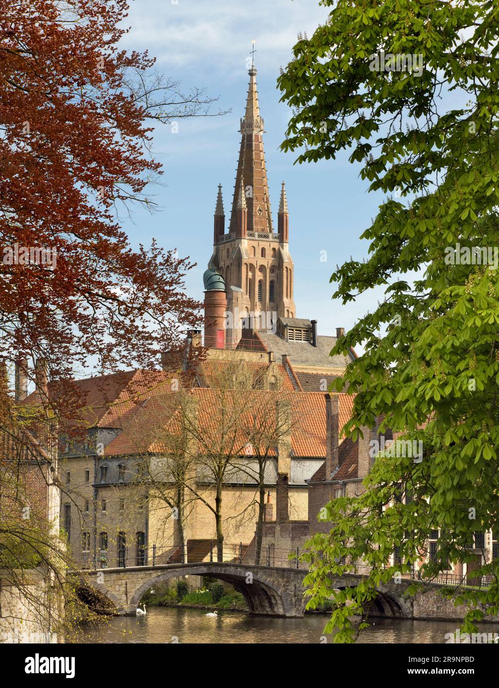 With its spire of 116m, the Catholic Church of our Lady, Bruges ...