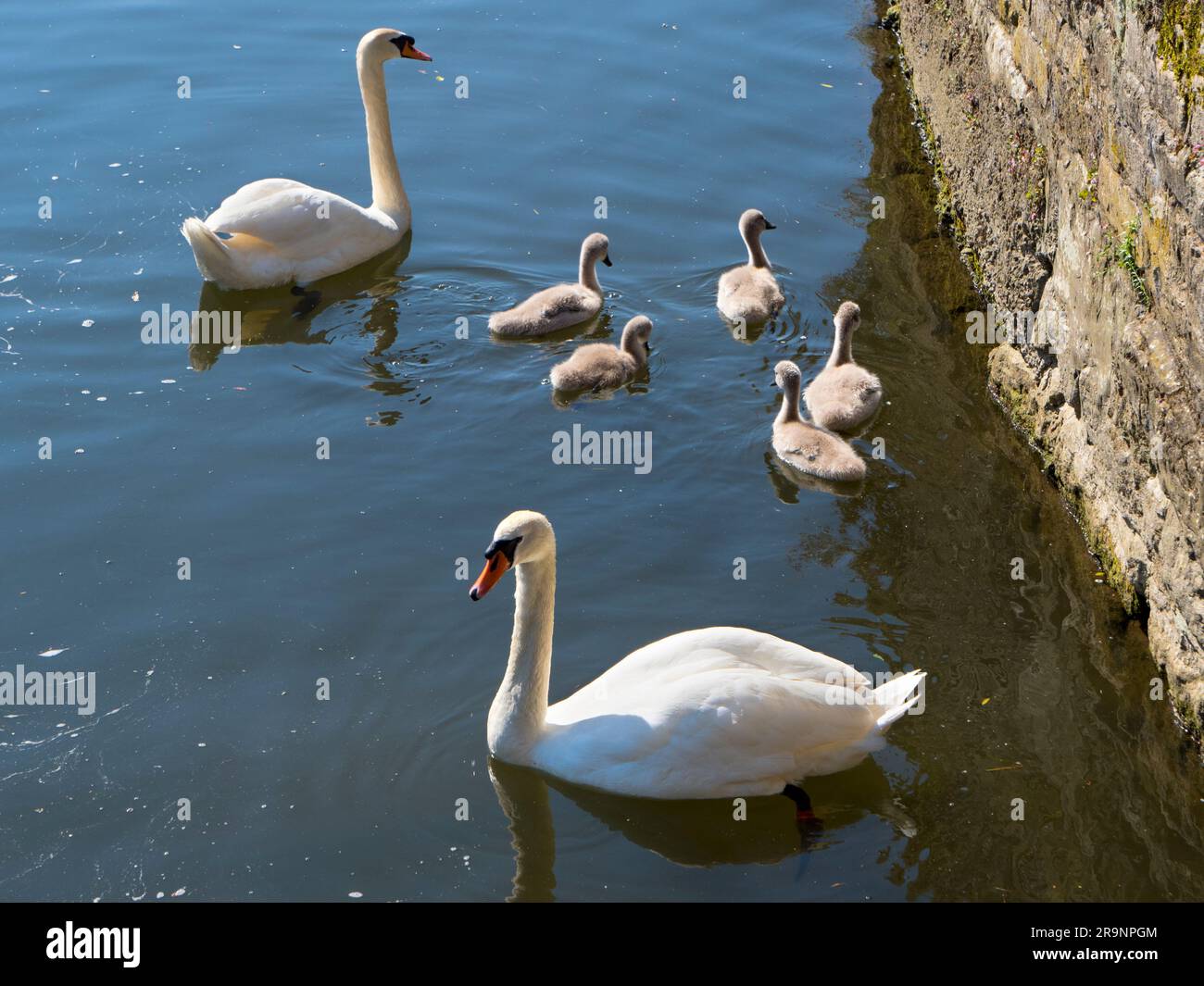 Saint Helen's Wharf is a noted beauty spot on the River Thames, just ...