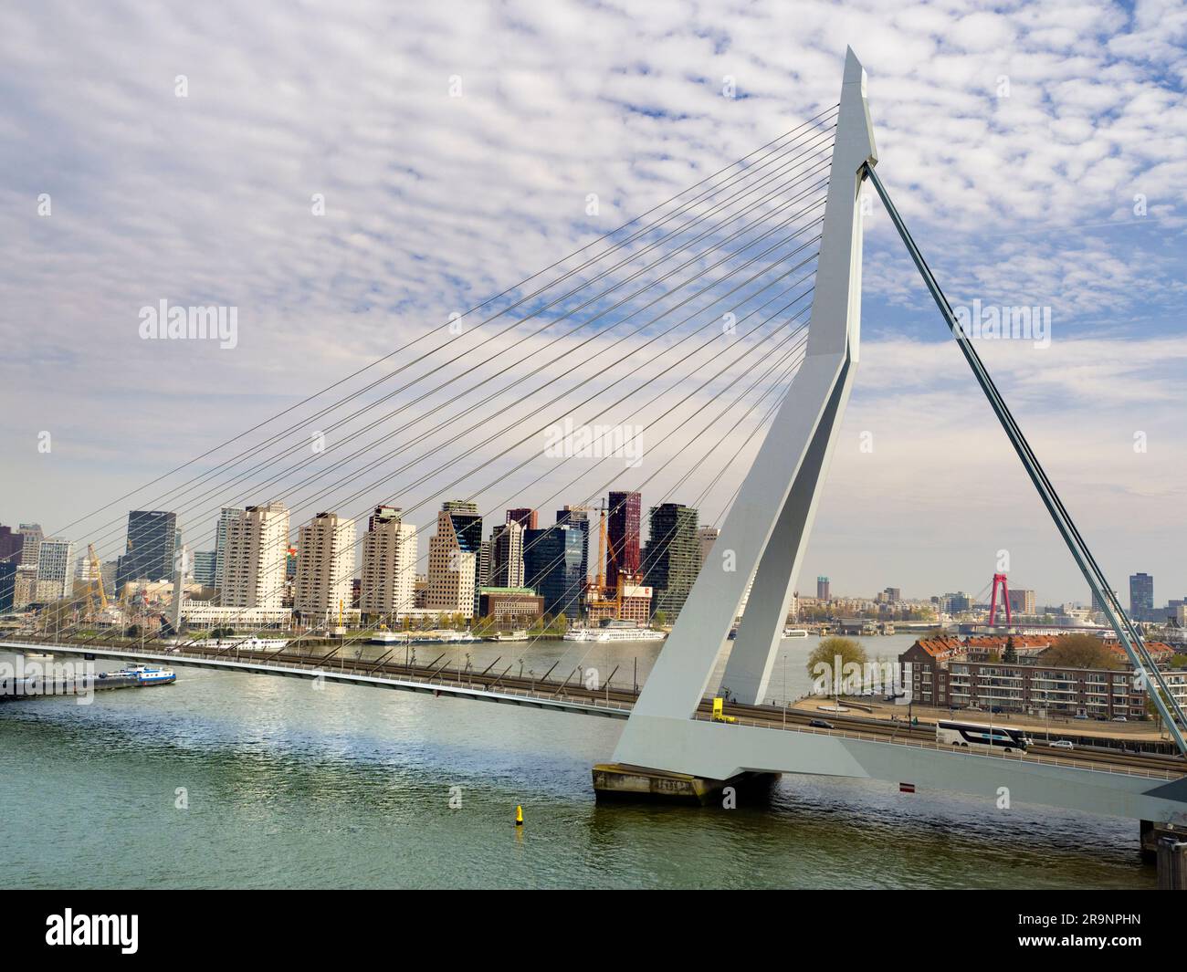 Named after the great renaissance Dutch philosopher and humanist ...