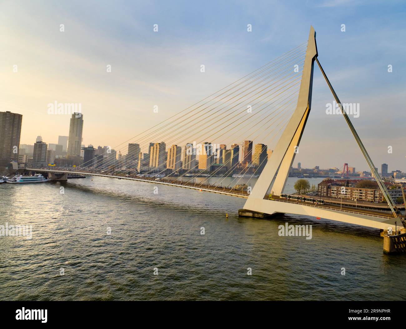 Named after the great renaissance Dutch philosopher and humanist ...