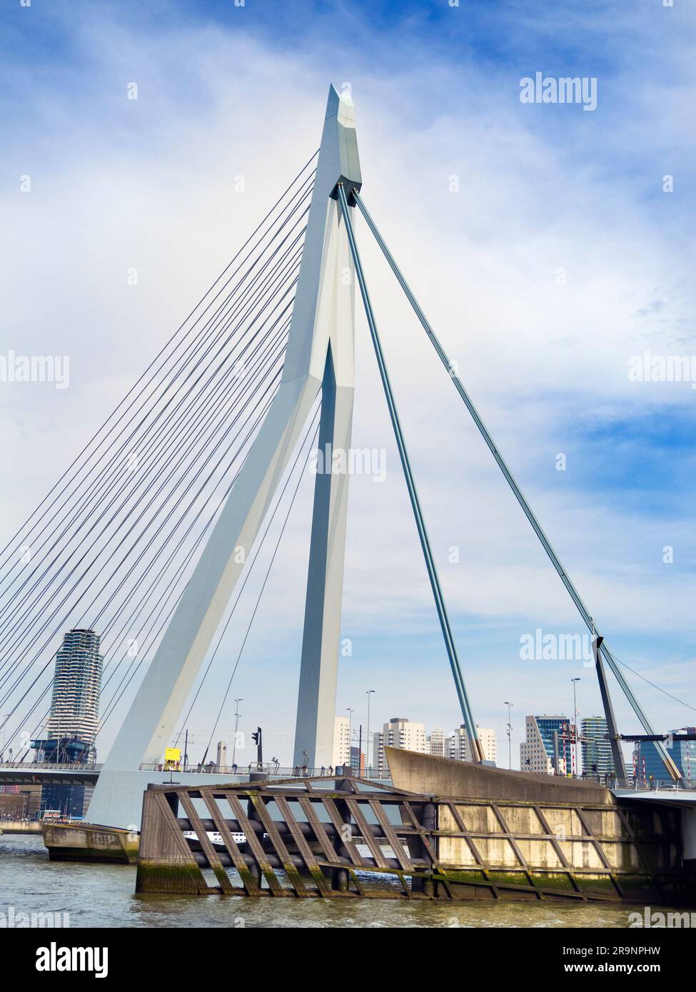 Named after the great renaissance Dutch philosopher and humanist ...