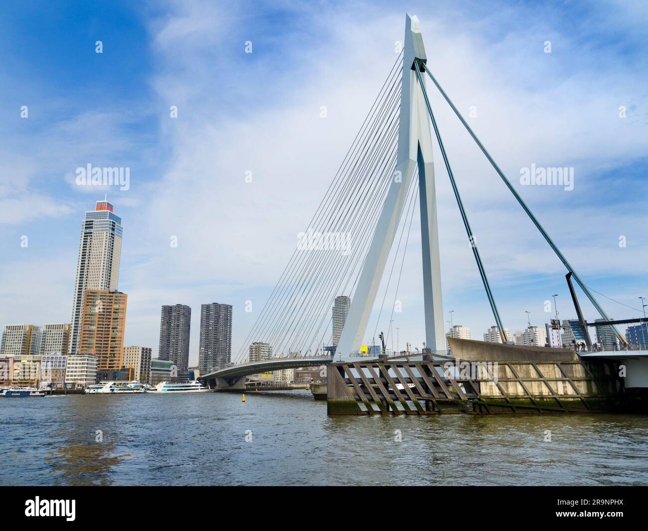 Named after the great renaissance Dutch philosopher and humanist ...