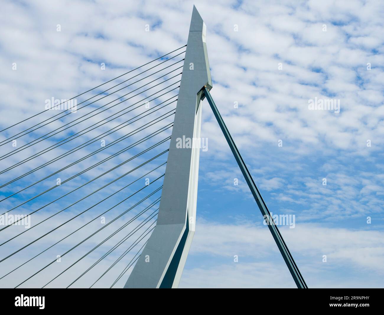 Named after the great renaissance Dutch philosopher and humanist ...