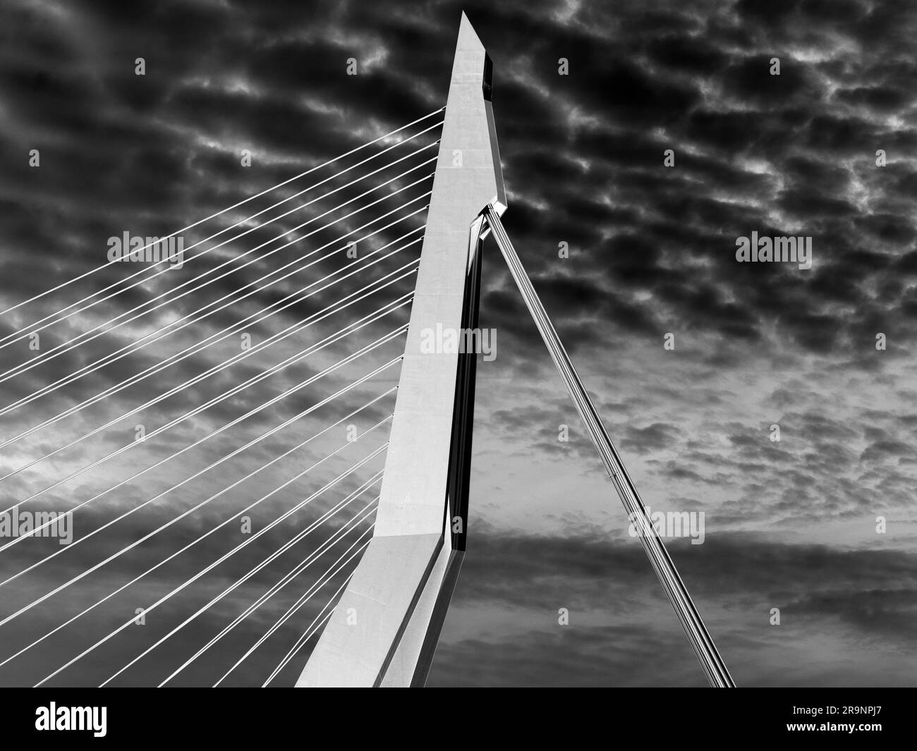 Named after the great renaissance Dutch philosopher and humanist ...