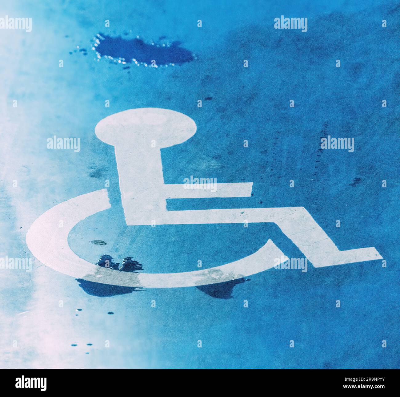 Double White and Blue Handicap Only Parking Signs Painted on a Asphalt ...