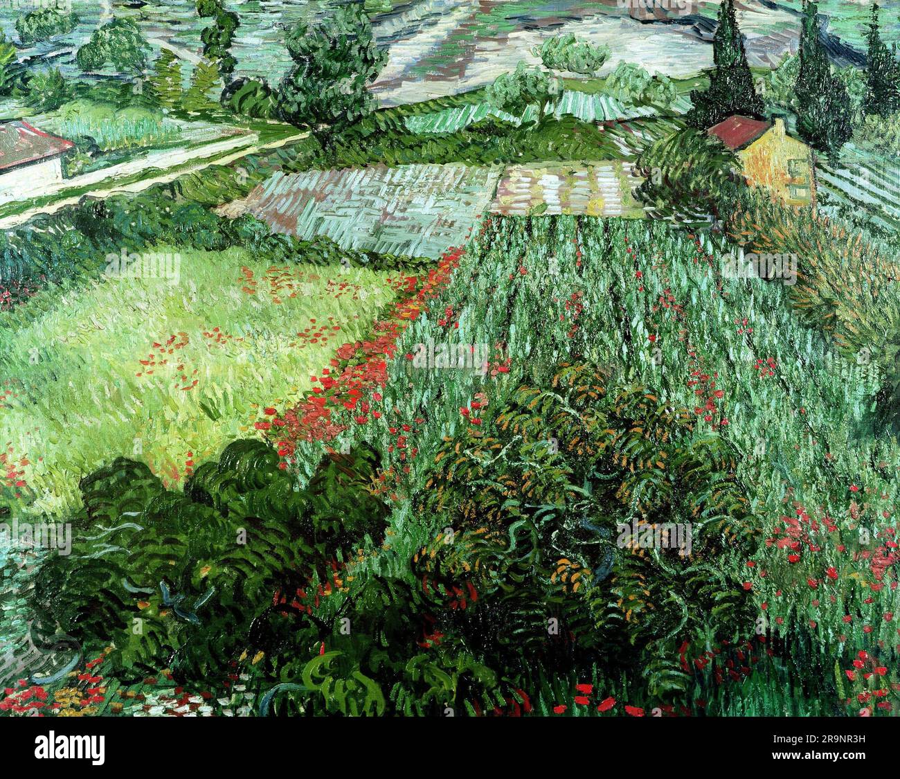 Field with Poppies Vincent van Gogh (1853-1890 Stock Photo - Alamy