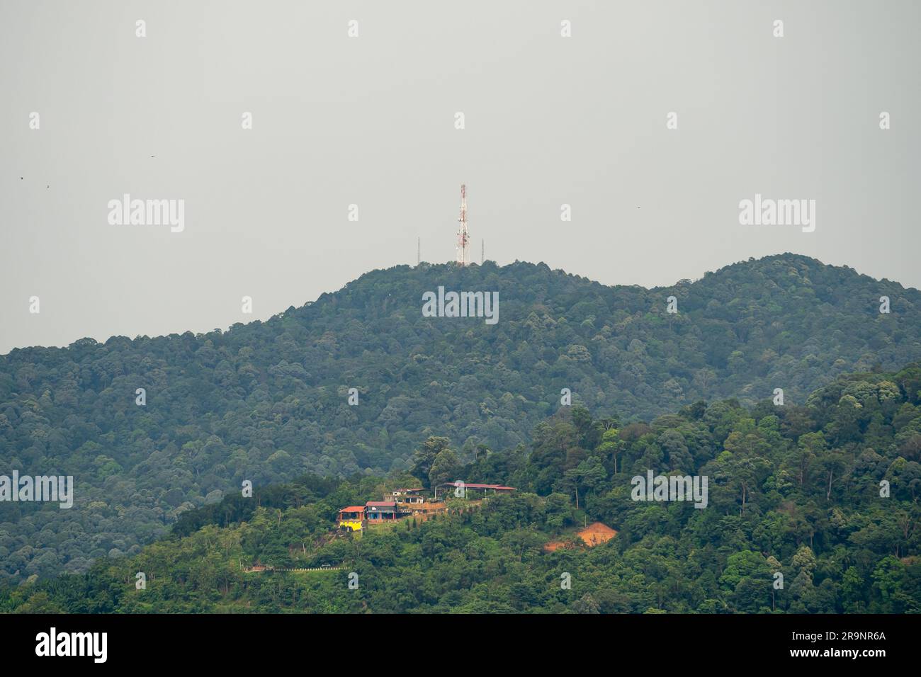 Communication tower on top of green mountain. Radio tower on mountain peak. Landscape of ...