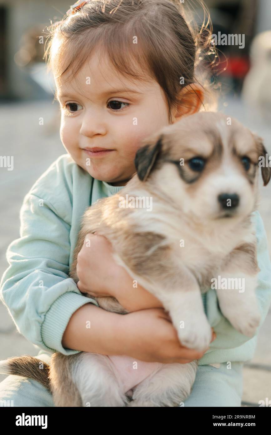 Cute little girl with dog on street Stock Photo - Alamy