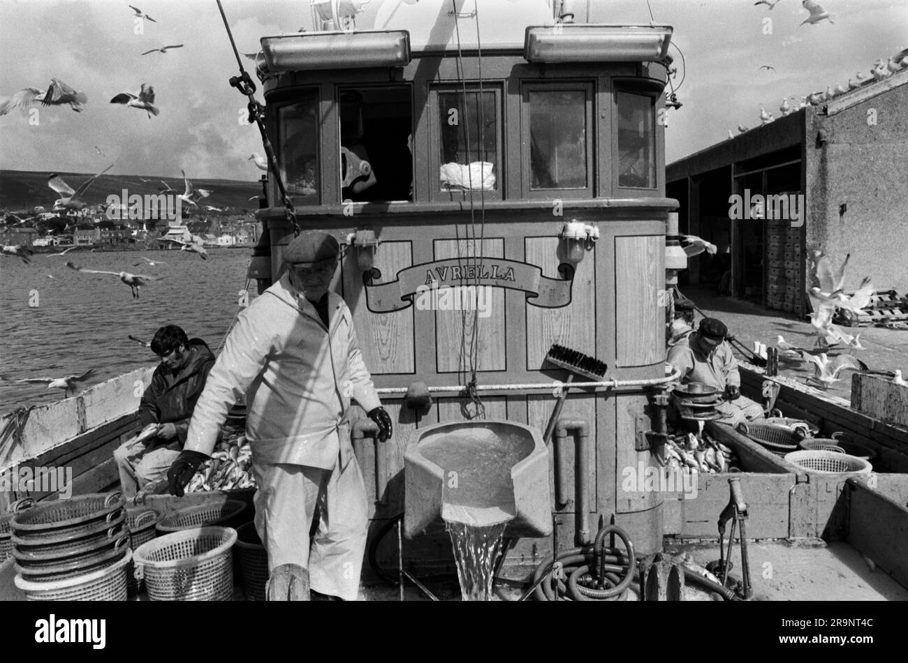 Fish on hand Black and White Stock Photos & Images - Alamy