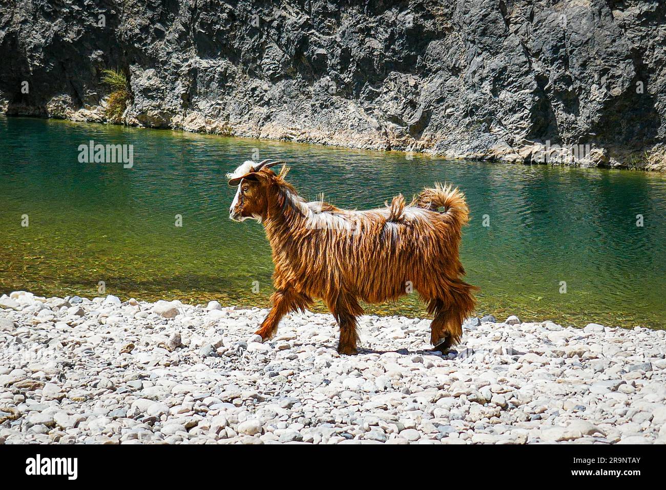 Wadi riverbed hi-res stock photography and images - Alamy