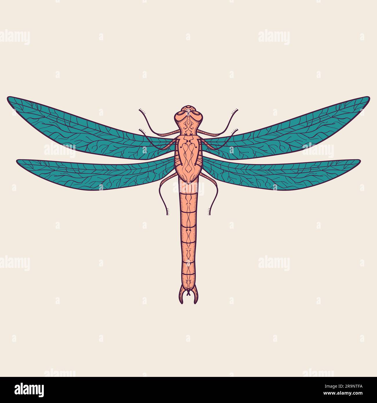 Vector colorful illustration of dragonfly Stock Vector Image & Art - Alamy