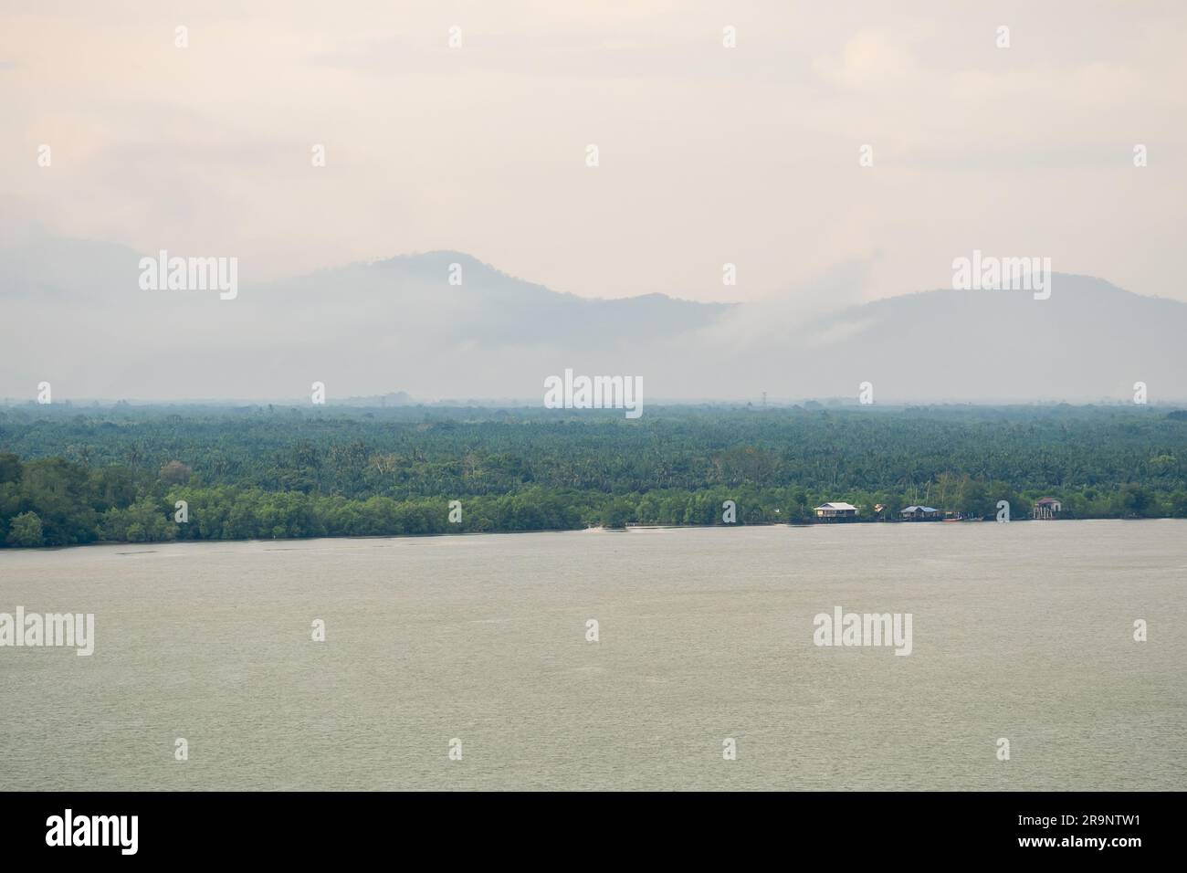 Aerial view of the coastline of mangrove forest and river landscape ...