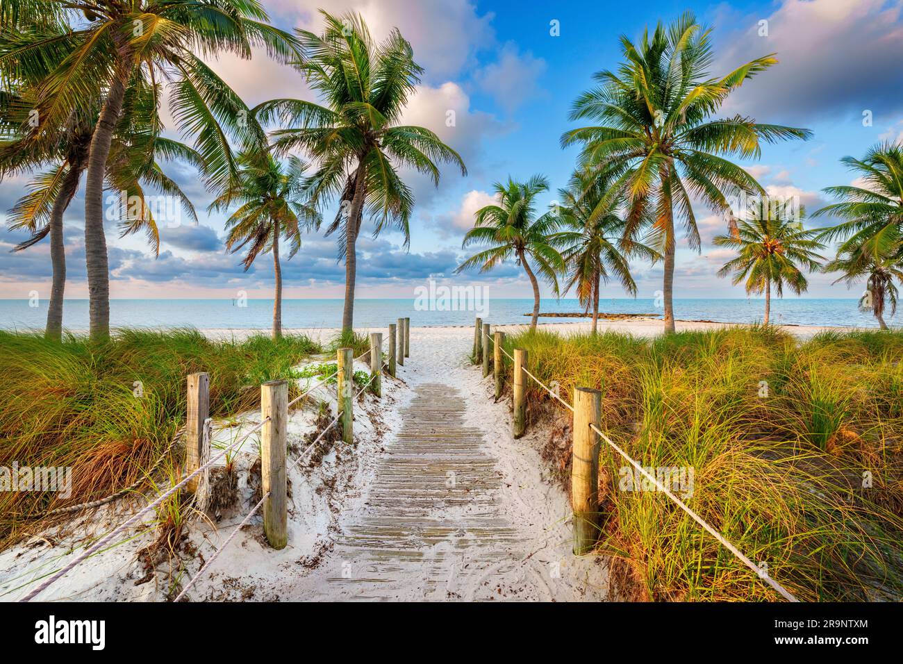 A wooden pathway leads the way to a stunning beachfront landscape ...