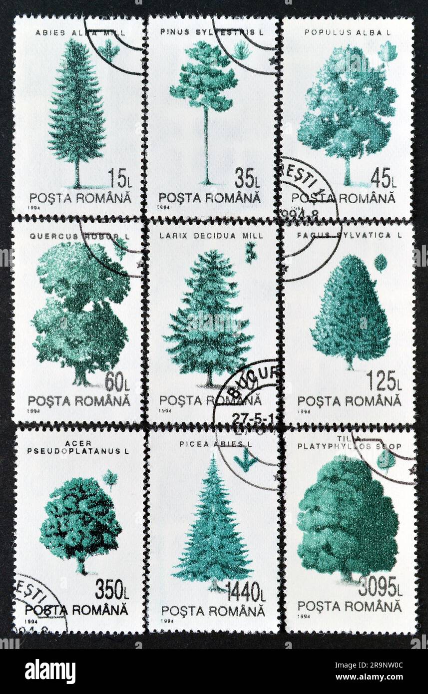 Cancelled postage stamps printed by Romania, that show Trees, circa ...