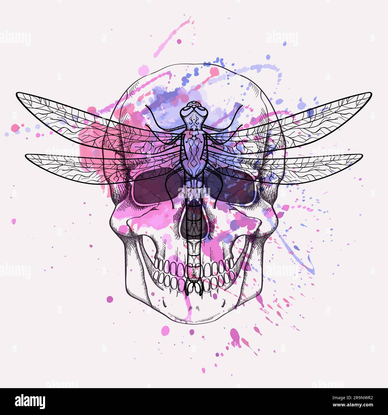 Vector grunge illustration of human skull and dragonfly with watercolor ...