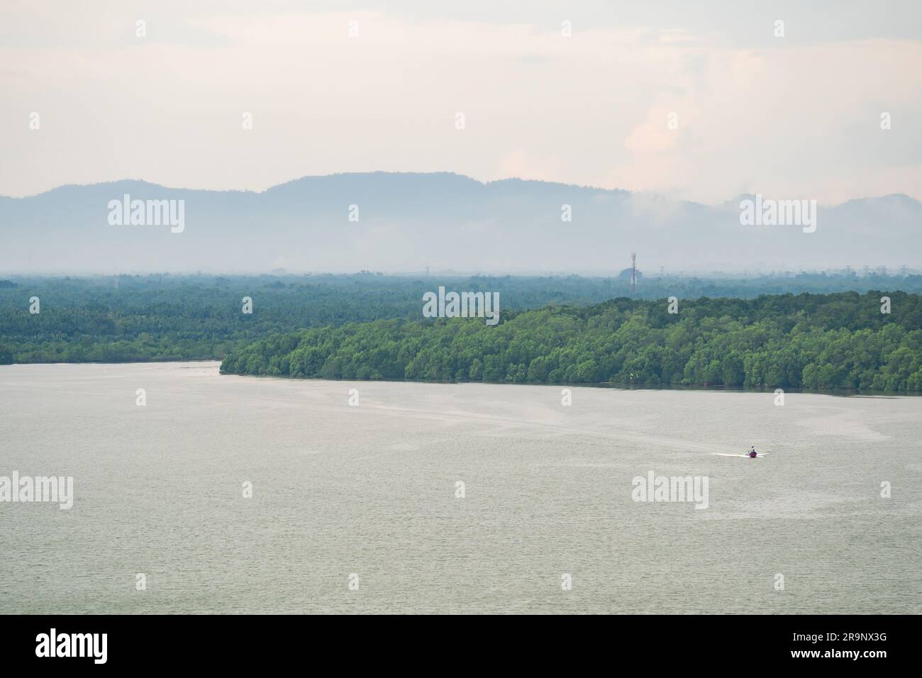 Aerial view of the coastline of mangrove forest and river landscape ...