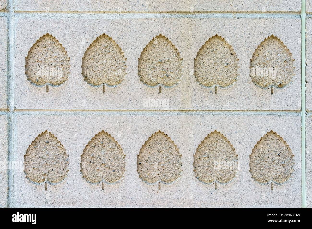 Natural leaf pattern hi-res stock photography and images - Alamy