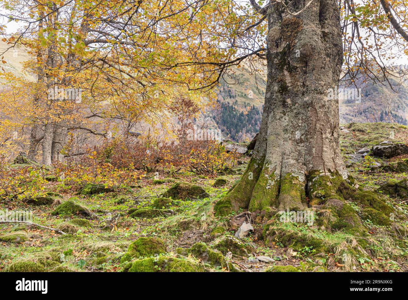 Artiga de lin valley hi-res stock photography and images - Alamy