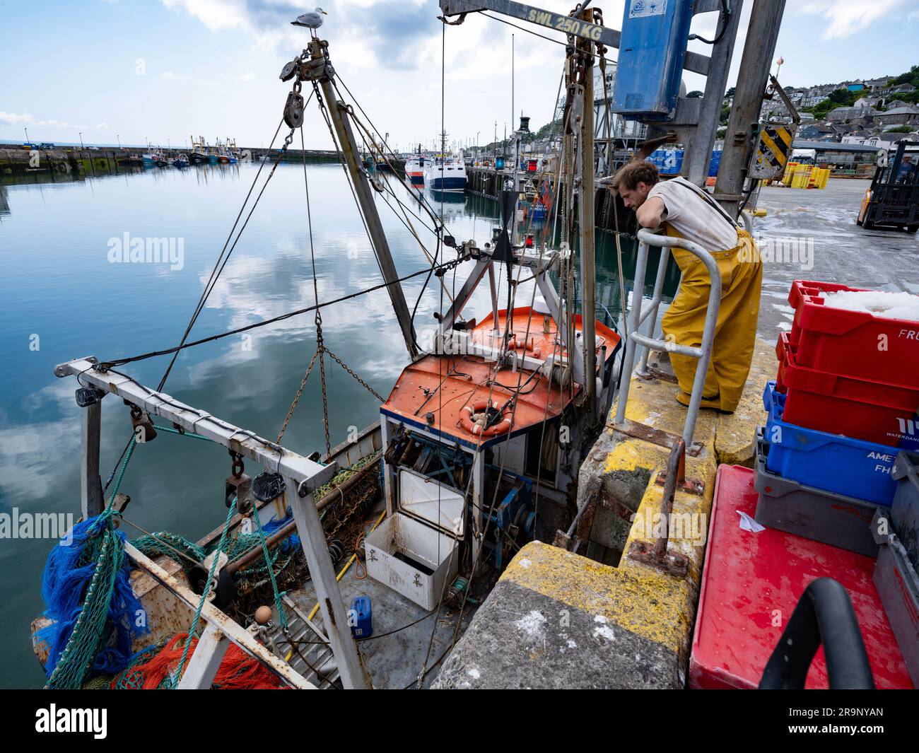 NEWLYN HARBOUR FISH MARKET BRINGING HOME THE CATCH Stock Photo - Alamy