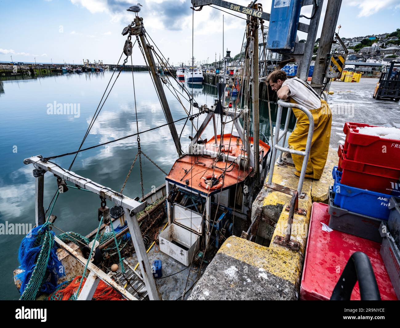 NEWLYN HARBOUR FISH MARKET BRINGING HOME THE CATCH Stock Photo - Alamy