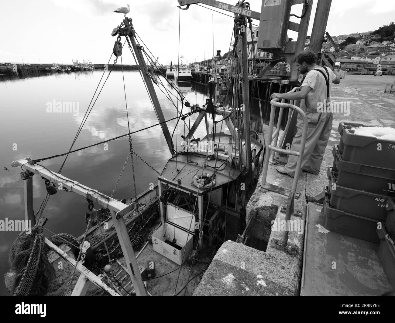 NEWLYN HARBOUR FISH MARKET BRINGING HOME THE CATCH Stock Photo - Alamy NEWLYN HARBOUR FISH MARKET BRINGING HOME THE CATCH Stock Photo - Alamy