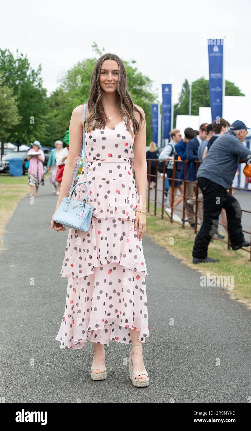 Henley-on-Thames, Oxfordshire, UK. 28th June, 2023. Picnic time at ...