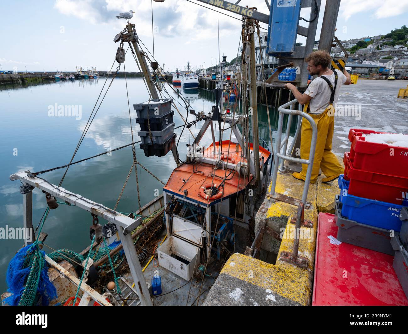 NEWLYN HARBOUR FISH MARKET BRINGING HOME THE CATCH Stock Photo - Alamy