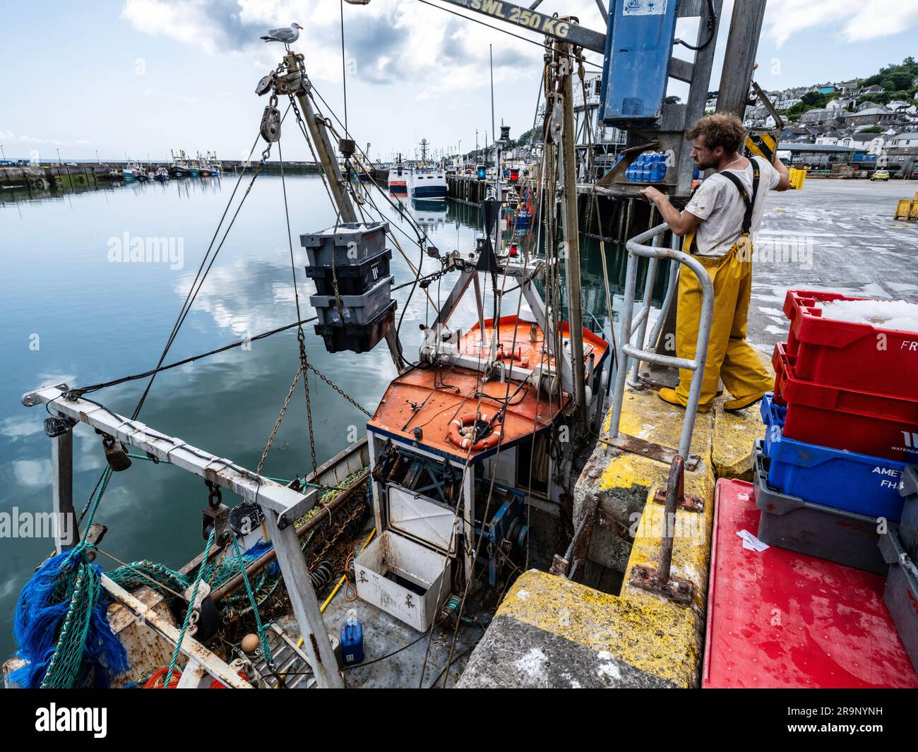 NEWLYN HARBOUR FISH MARKET BRINGING HOME THE CATCH Stock Photo - Alamy