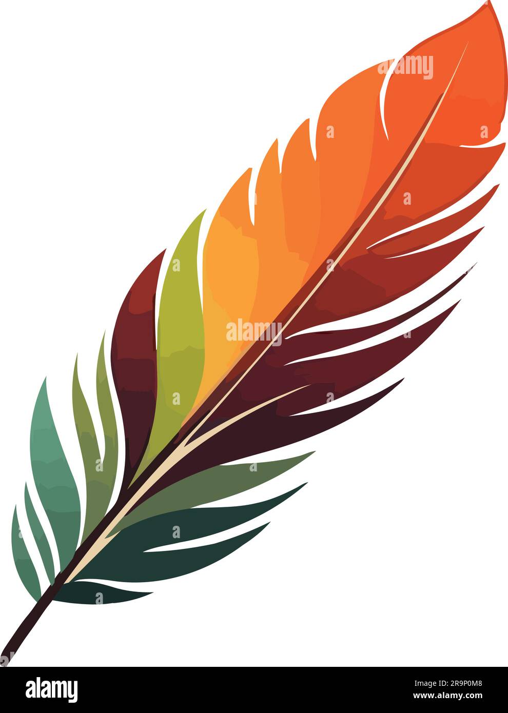 peacock feather symbol of beauty in nature over white Stock Vector ...