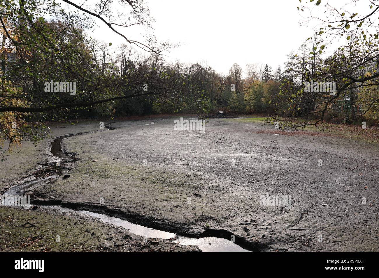 Altstadt freiberg hi-res stock photography and images - Alamy