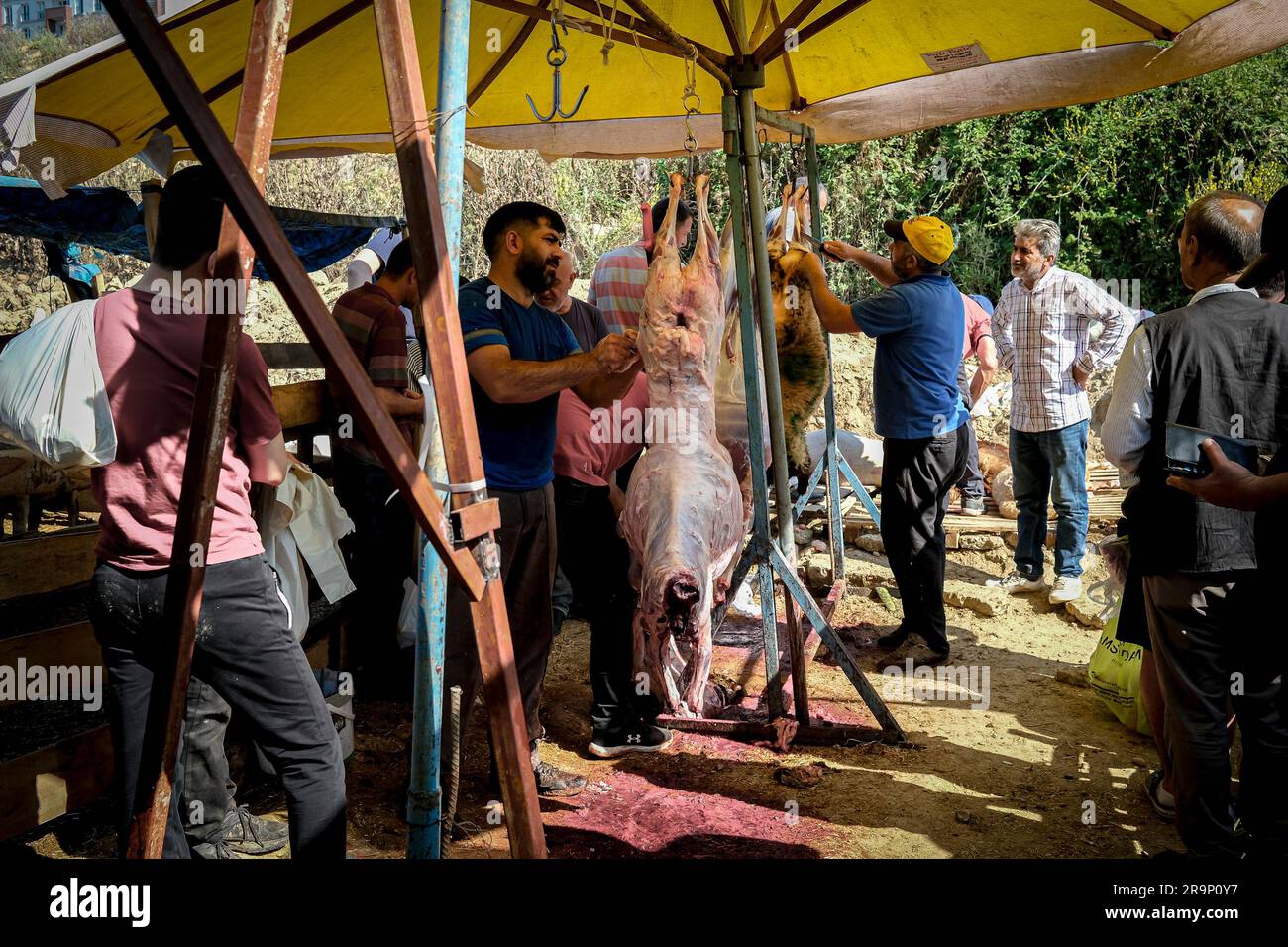 Izmir, Turkey. 28th June, 2023. Muslims slaughter animals on Eid-al ...