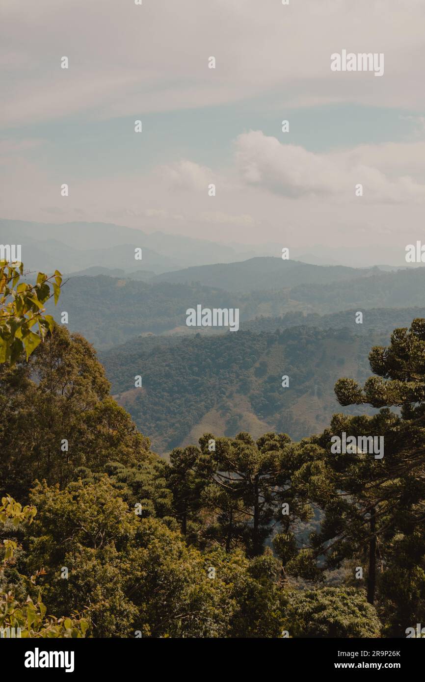 Mountain forest view hi-res stock photography and images - Alamy
