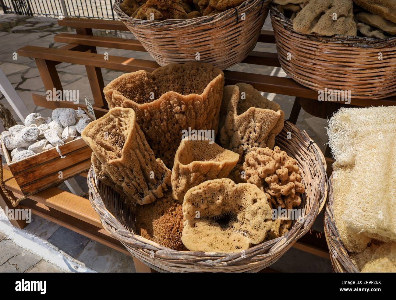 Greek bathing sponge spongia officinalis hi-res stock photography and ...