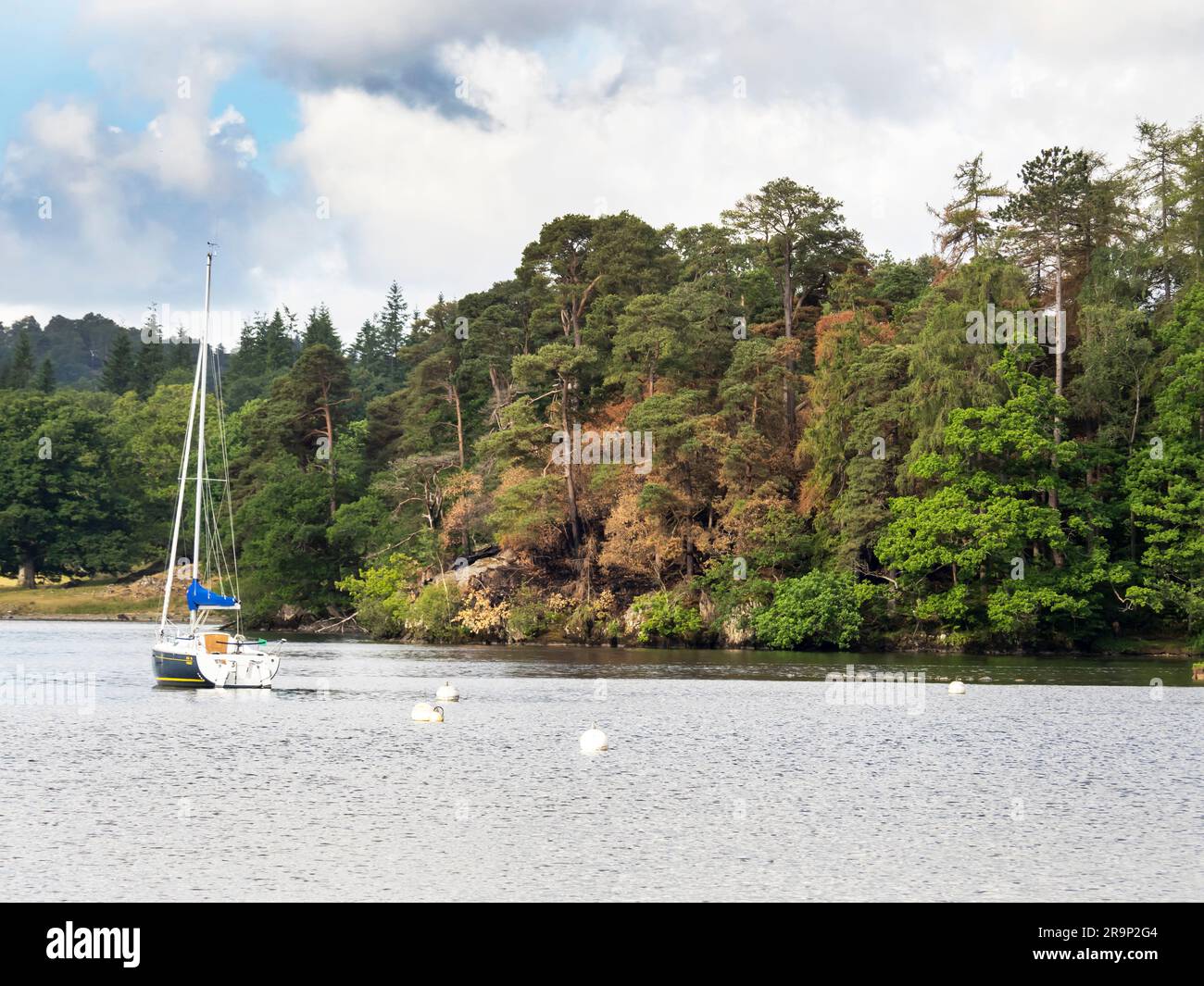 An area of woodland at the head of Lake Windermere that was set on fire ...