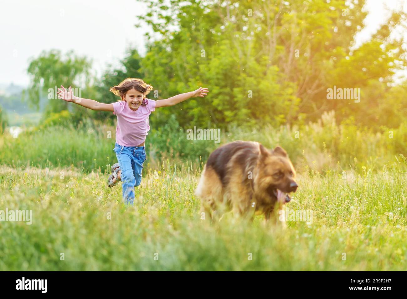 Little girl running after a shepherd dog on the meadow Stock Photo - Alamy