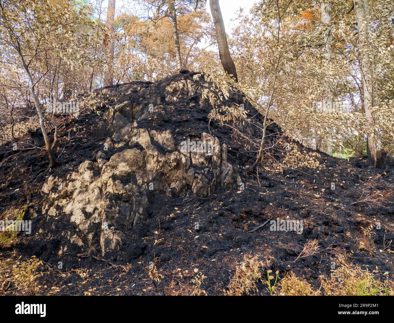 An area of woodland at the head of Lake Windermere that was set on fire ...