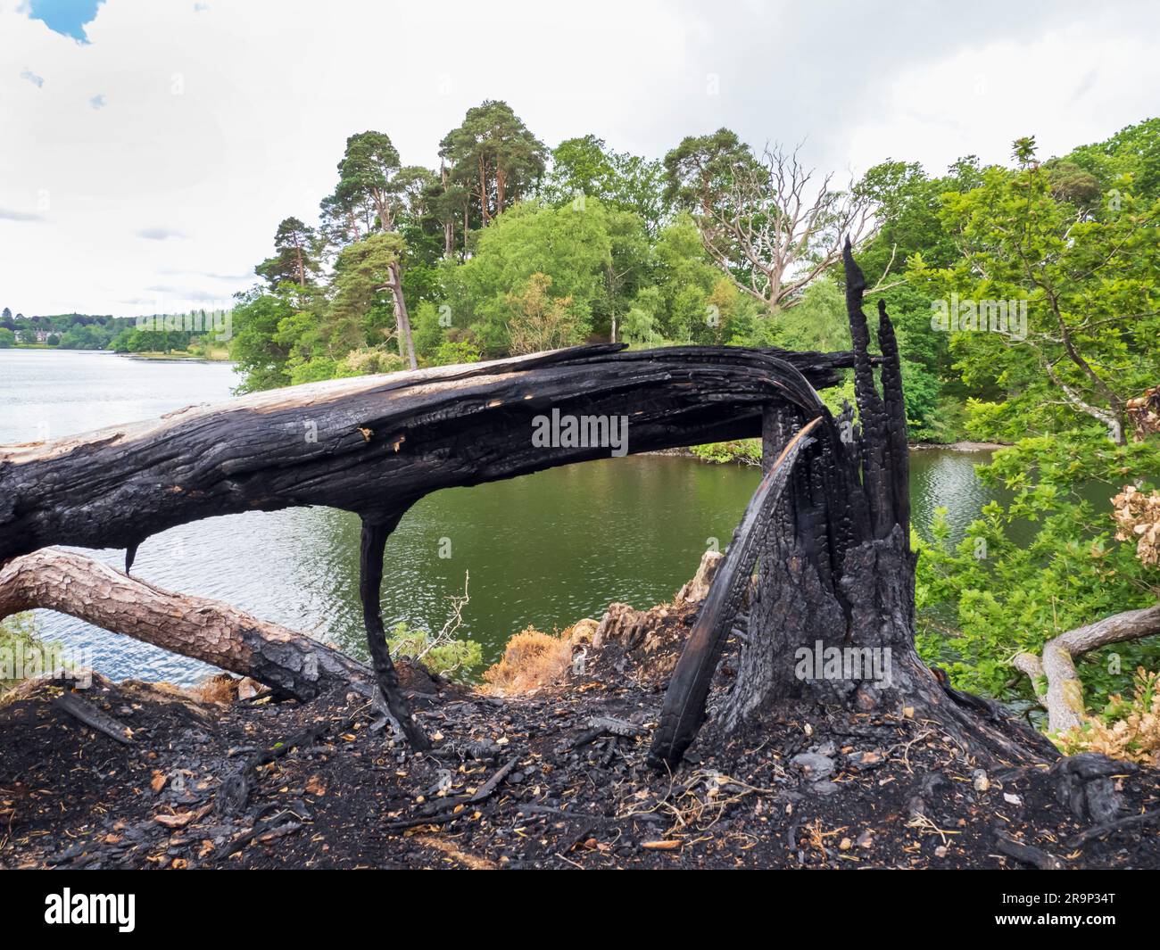 An area of woodland at the head of Lake Windermere that was set on fire ...
