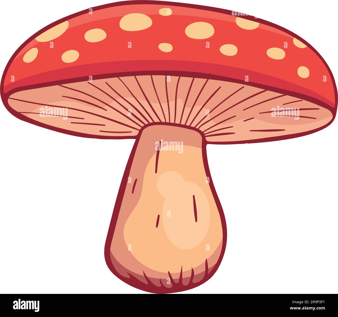 red fungus illustration over white Stock Vector Image & Art - Alamy