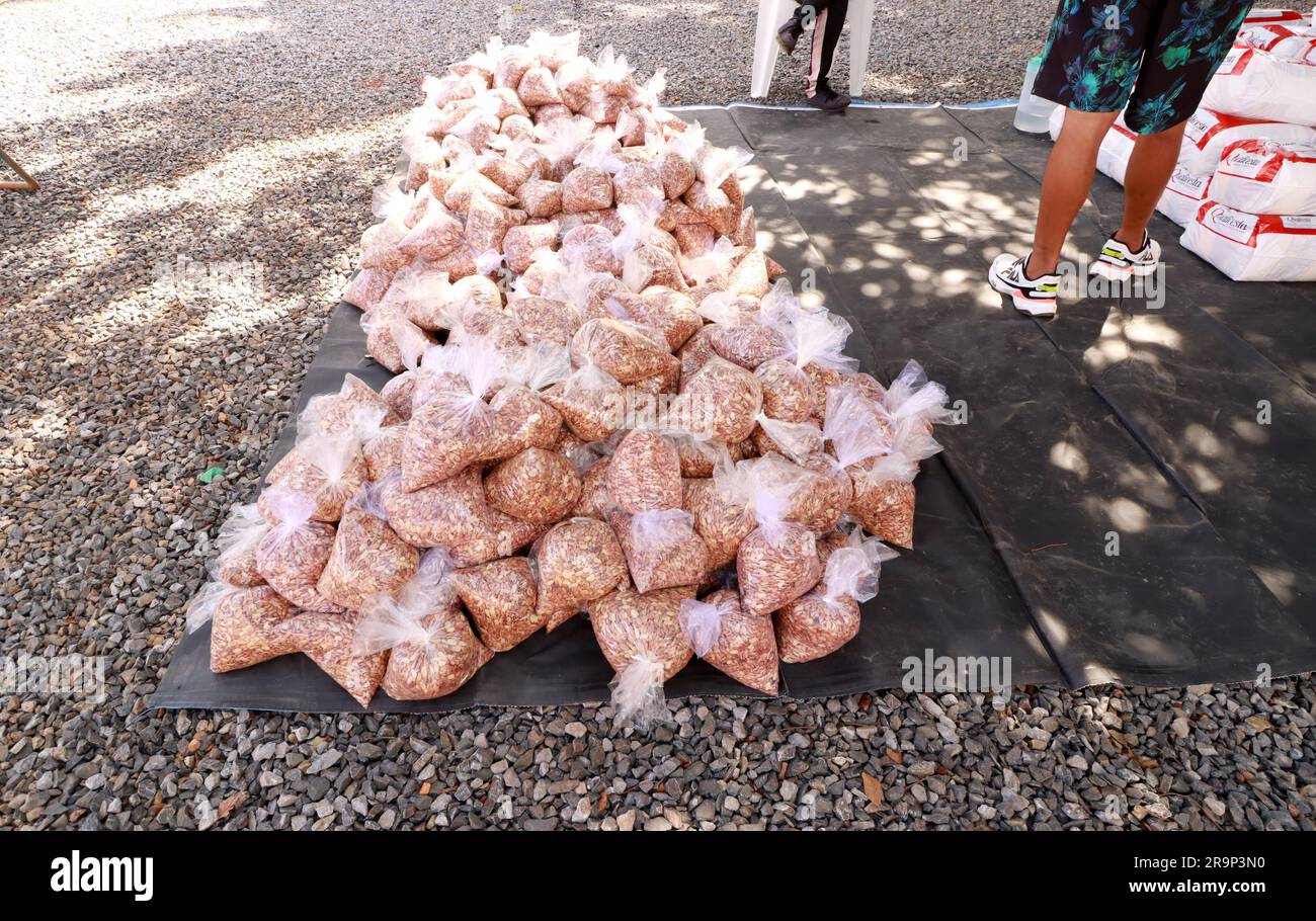 The packages of donated beans for the poor waiting to be distributed ...