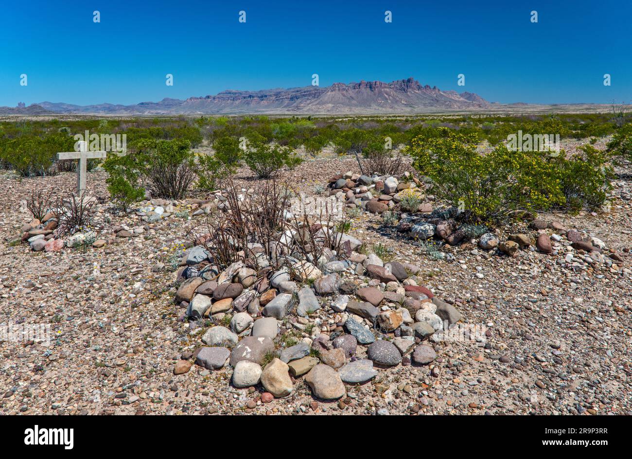 Graveyard at Johnson Ranch, River Road, creosote bush in bloom, Chisos ...